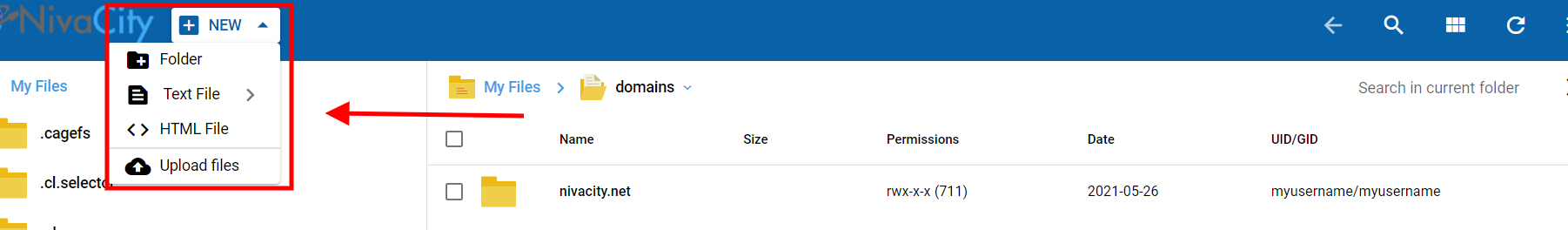 Managing File Manager - NivaCity