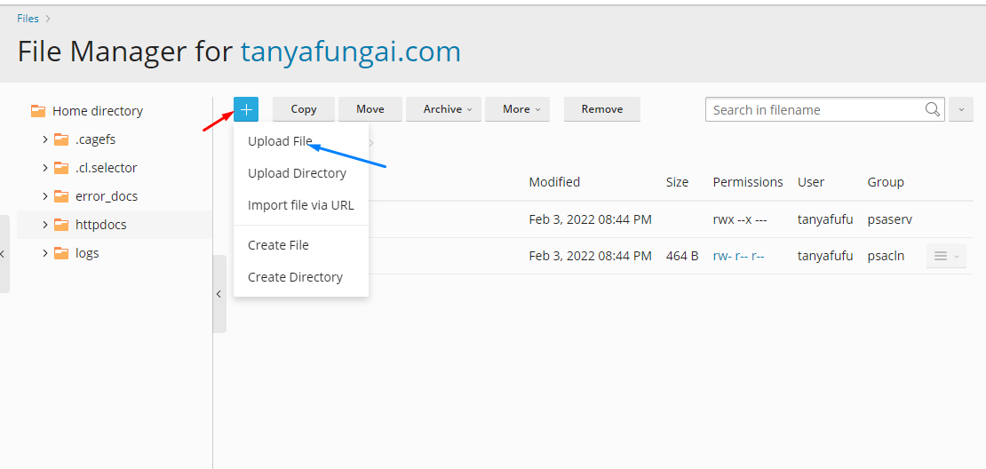 How To Upload a file on Plesk, Step by Step with Pictures - NivaCity