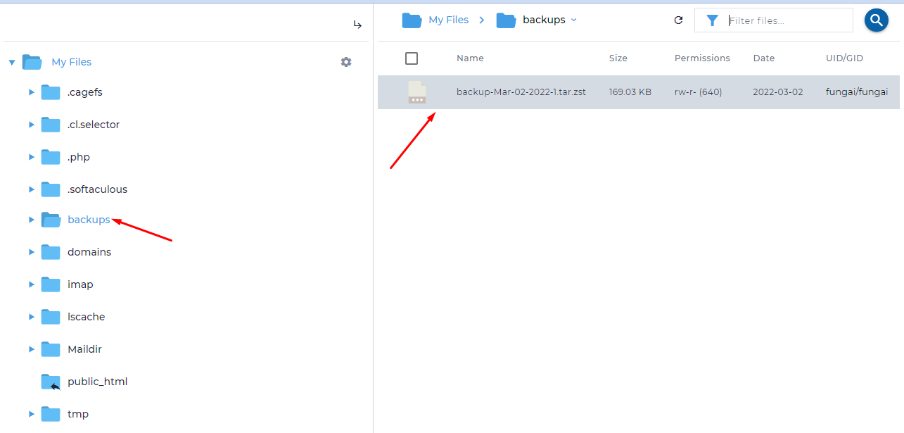 How To Create Backups on Direct Admin - NivaCity