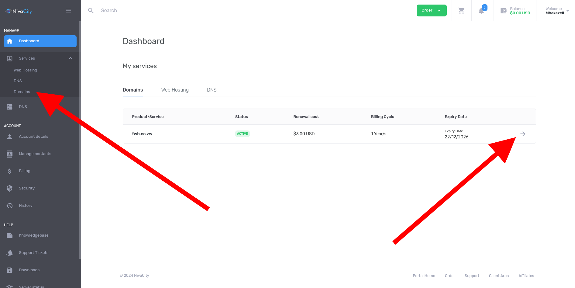 How to change nameservers from clientzone - NivaCity