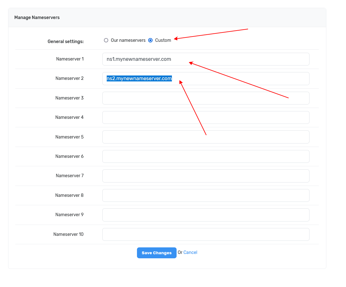 How to change nameservers from clientzone - NivaCity