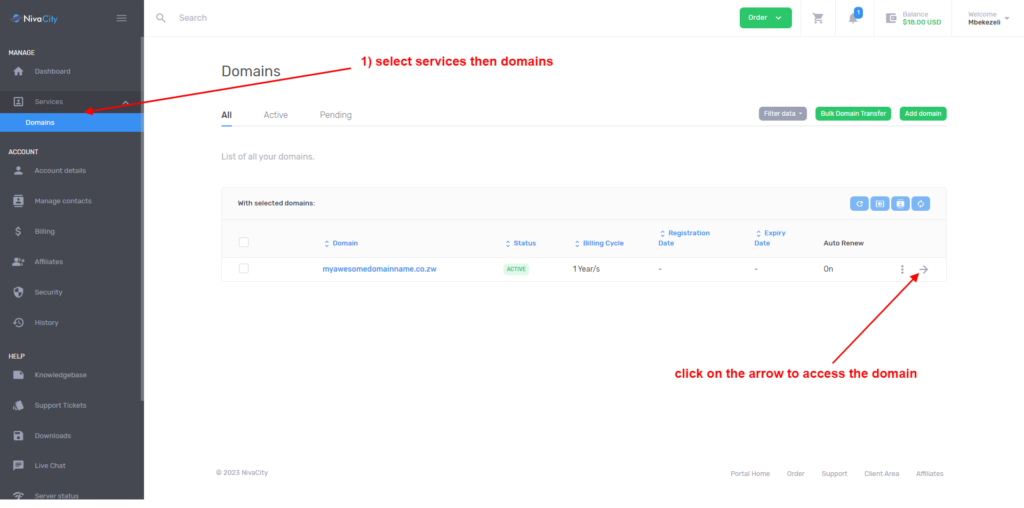 How to update domain customer details - NivaCity
