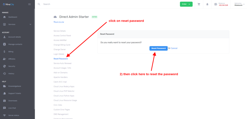 How to change your Direct Admin password from the Clientzone - NivaCity